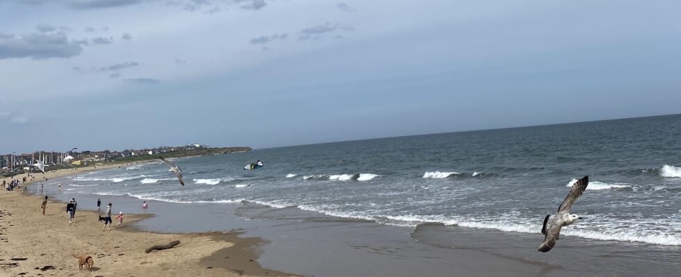 Seaburn – Newcastle Guide